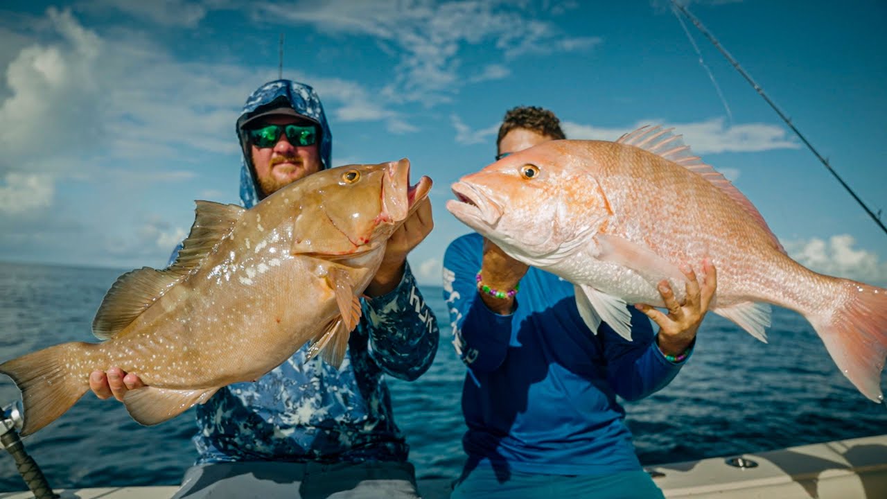 Catching MASSIVE Red Snapper & Grouper Offshore With Capt. Austin ...