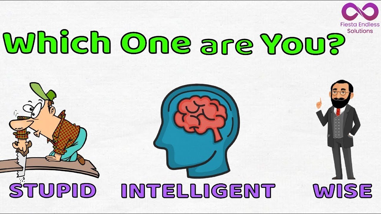 How To Make Better Decisions? | Decision Making Tips | Fiesta Endless ...