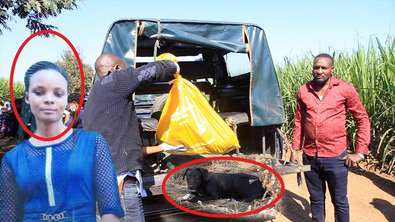 VIDEO:MBWA AFUKUA MWILI WA MWALIMU ALIYEPOTEA SIKU 30 MOSHI, KICHWA ...