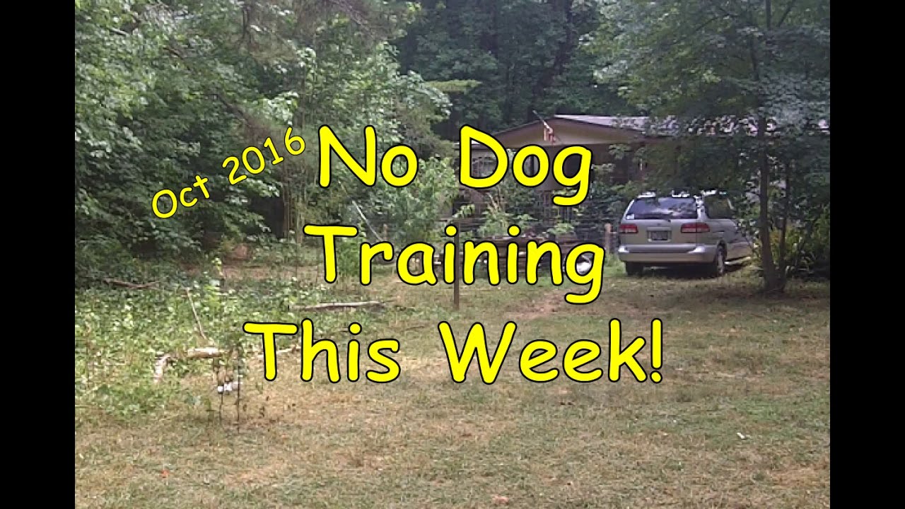 No Training This Week - YouTube