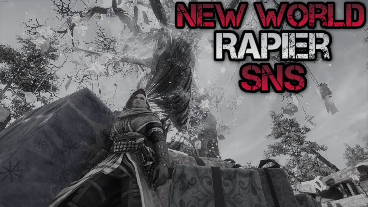 Aware Assassin | New World PvP | Rapier SNS - YouTube