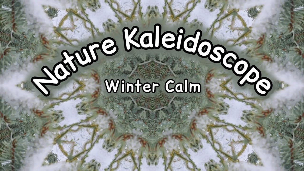 Winter Kaleidoscope – Calm Snow & Evergreen Visuals - YouTube