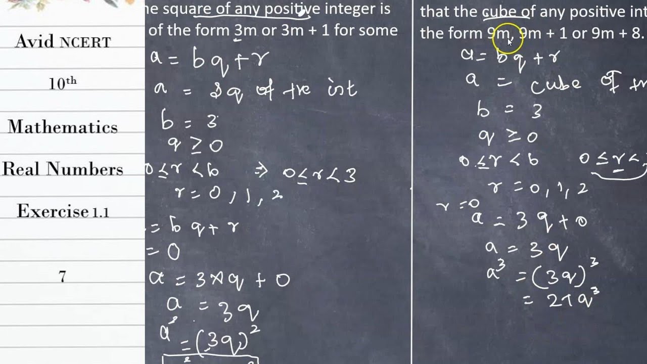 Real Numbers Ex 1.1 Class 10 NCERT (English) - YouTube
