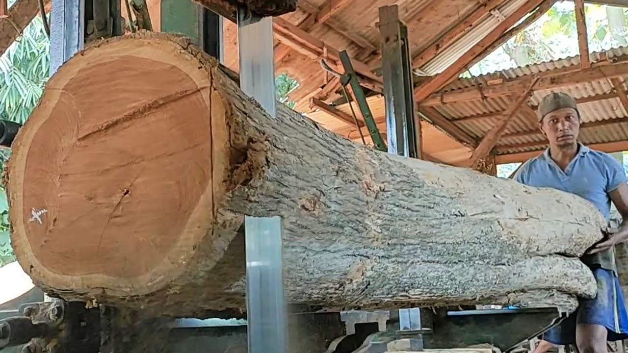 sawing old teak logs full of brown fibers into good quality door frame ...