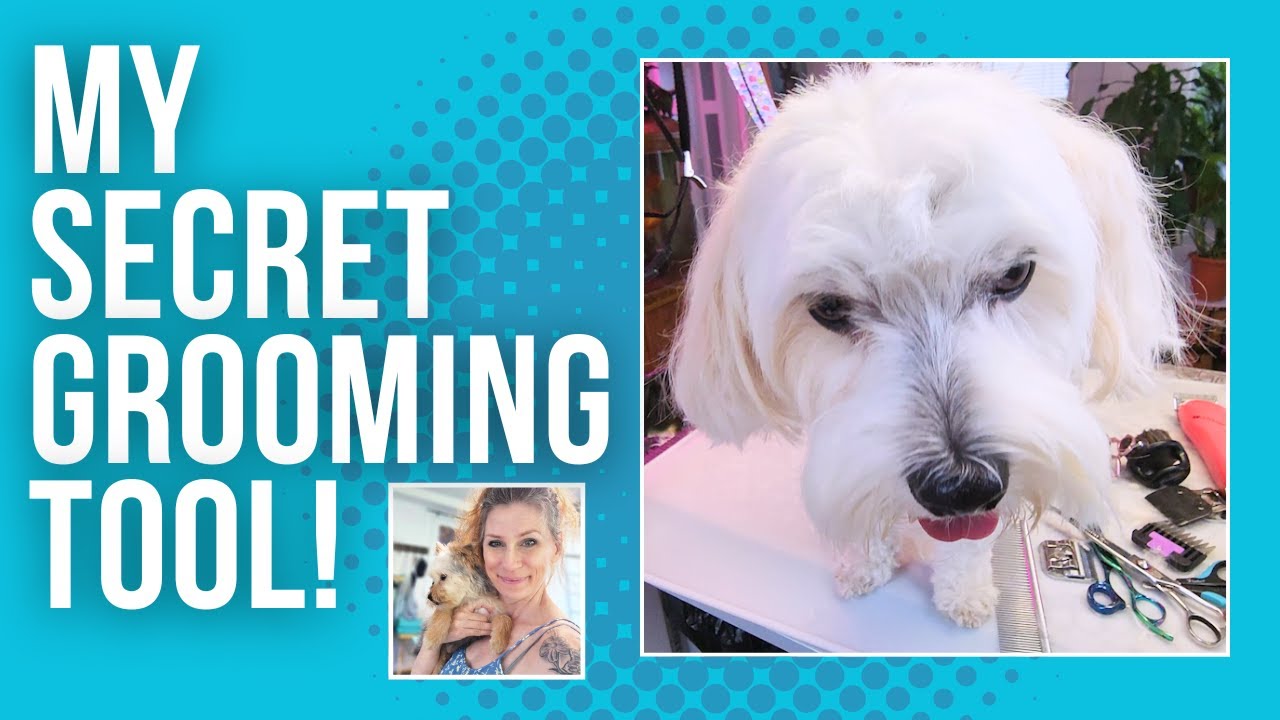 Game changer For biting dogs (The Groomers Helper) - YouTube