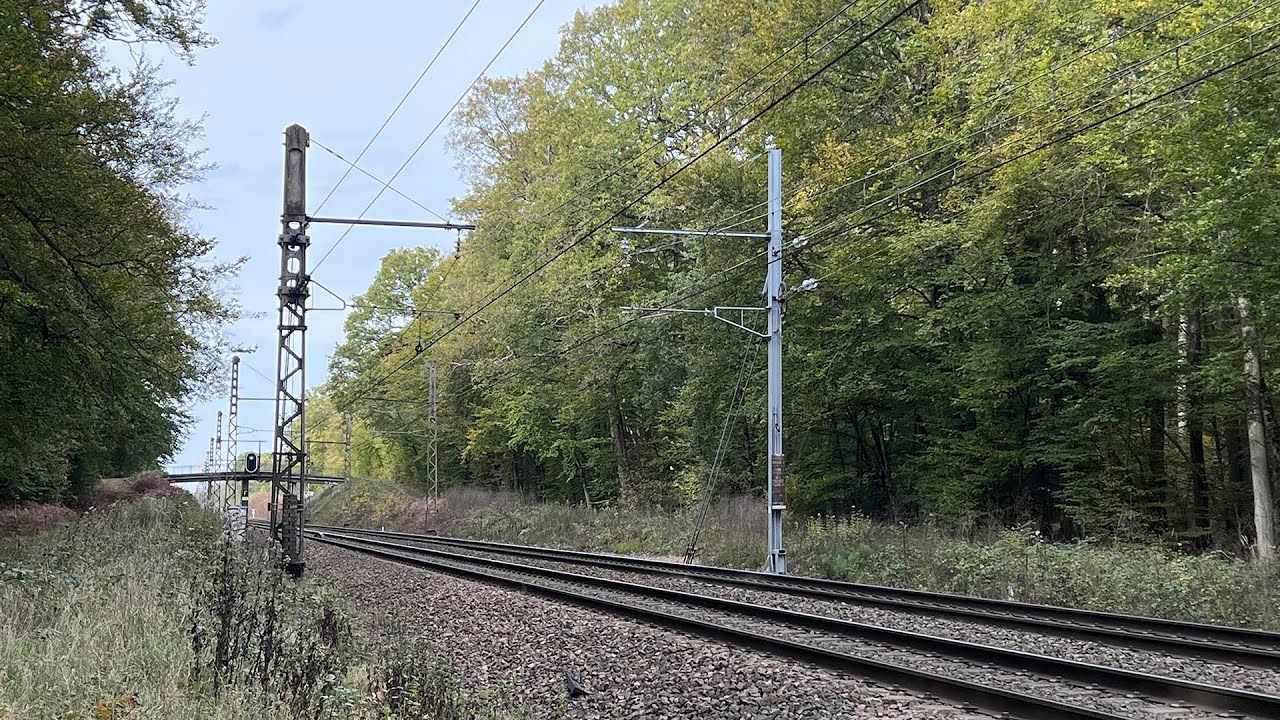 Samedi 29 octobre sur la ligne PLM - YouTube