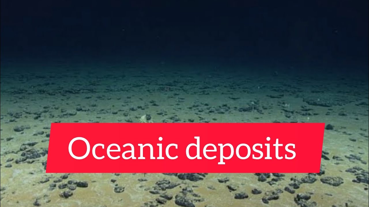 Geography: semester I coral reef/ oceanic deposits/trophic level - YouTube