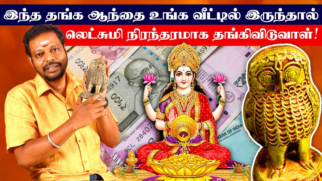 Anthai Bird Tamil | Selvam Peruga in Tamil | ஆந்தையை பார்த்தால் ...