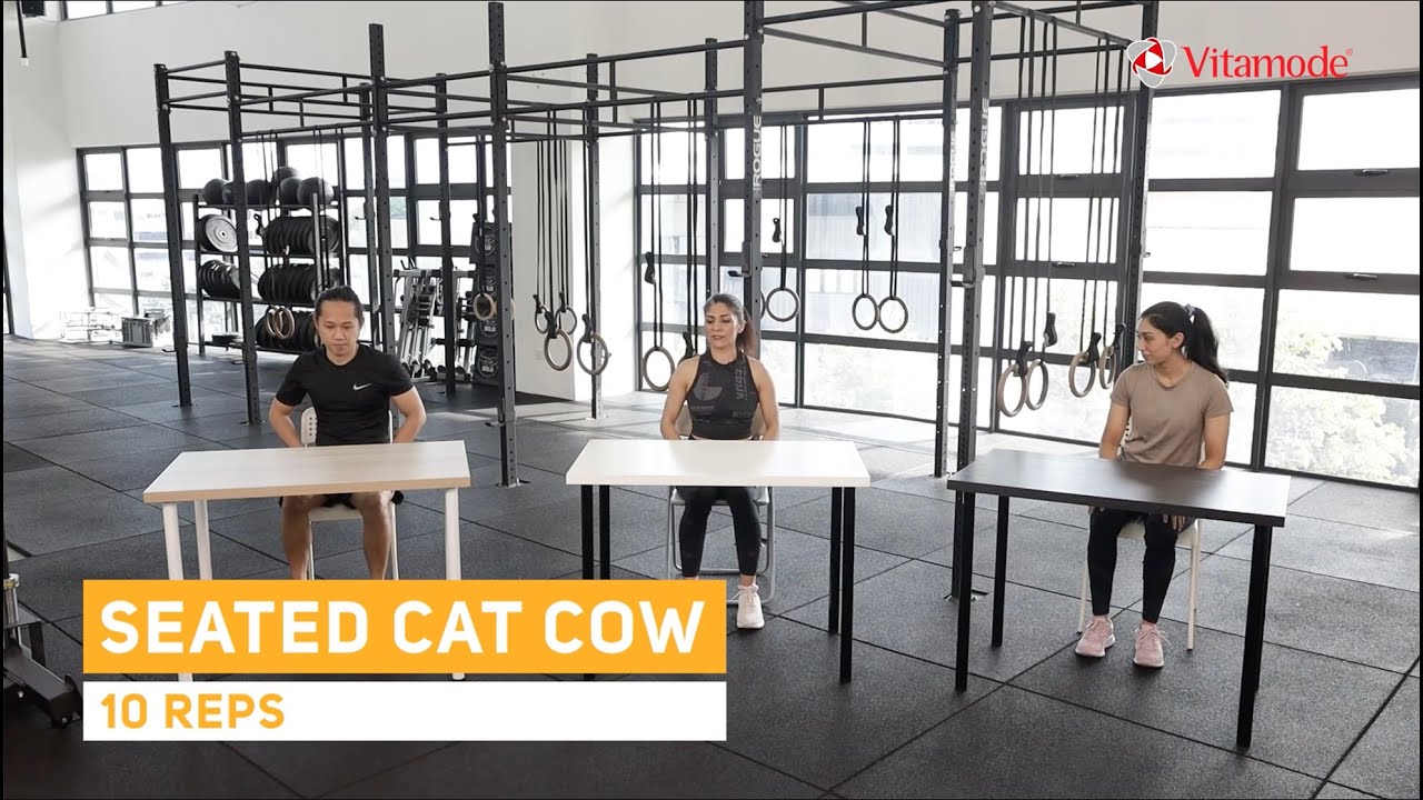 Vitamode® HMB: Get a full workout from your desk - YouTube