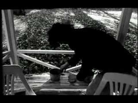 Asymmetriphobia - YouTube