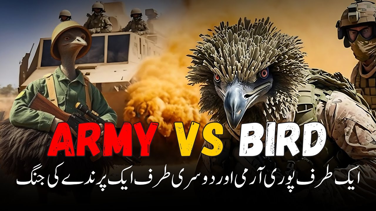 How Australia Lost War Against Birds | The Great Emu War | Army or Ek ...