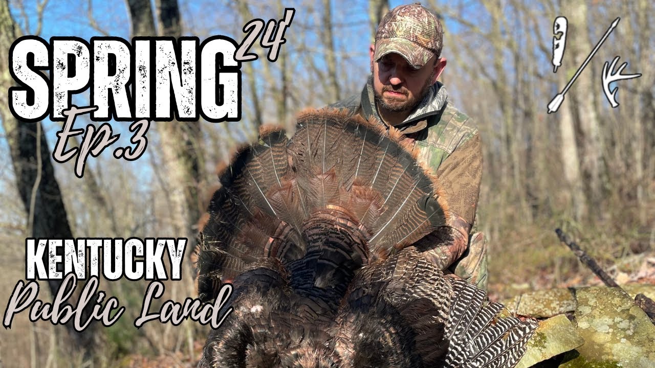 SPRING - KENTUCKY OPENER (PUBLIC LAND HILLTOP GOBBLER) - YouTube
