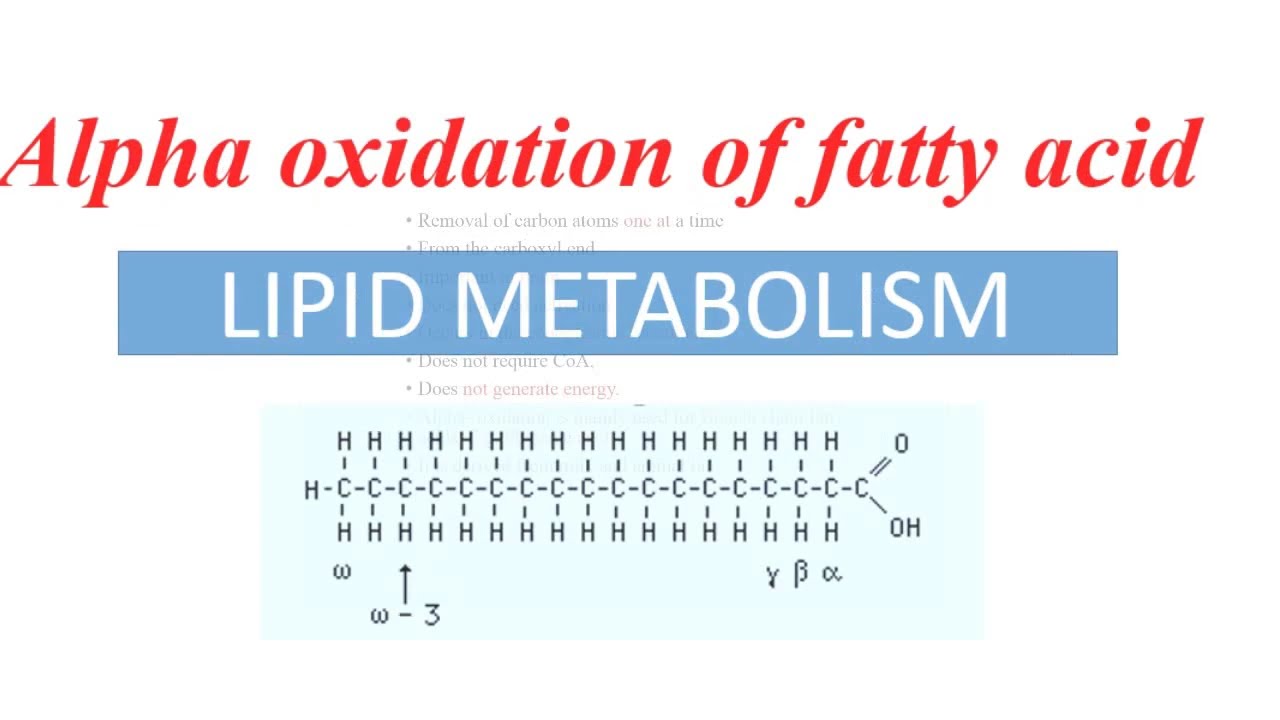 Alpha oxidation of fatty acid/Refsum disease/Phytanic acid oxidation ...