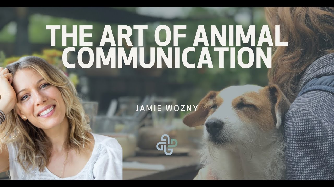 The Art of Animal Communication with Jamie Wozny - YouTube