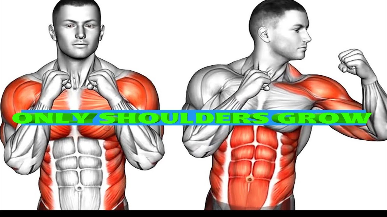 Hot 🏋️ Shoulders 💪 perfect.How to improve your shoulders.shoulders kese ...
