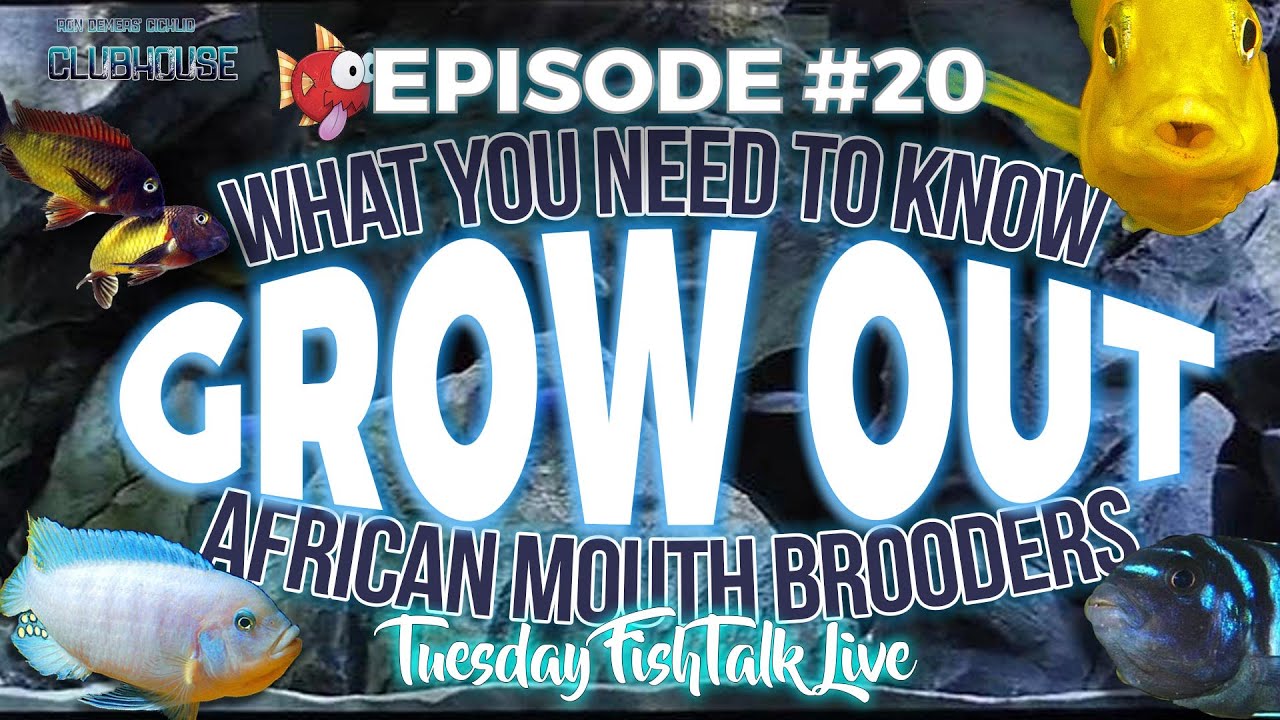 Tuesday FishTalk Live with Ron Demers - Episode #20 Grow Out- What You ...