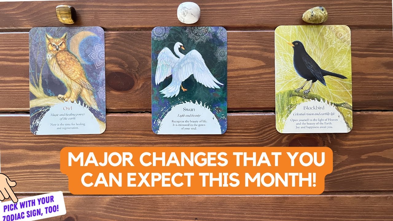 What bird are you based on your zodiac sign 60 photos - Astrologytoyou.com