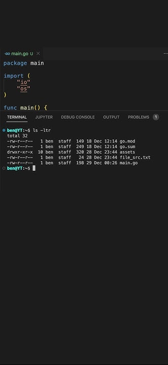 Mastering Golang Tips And Tricks Copy Files Shorts Golang Programming Youtube