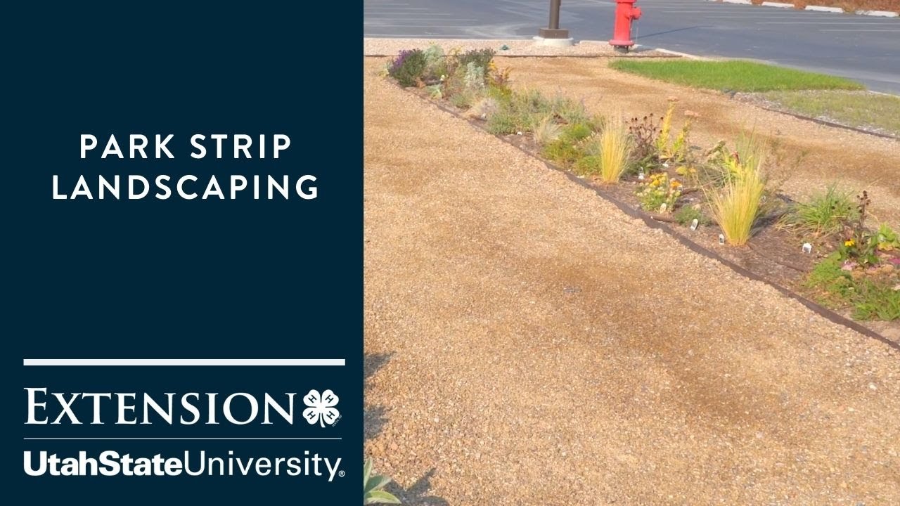 Park Strip Landscaping - YouTube