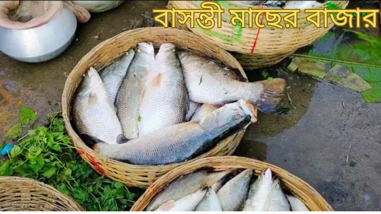 বাসন্তী মাছের বাজার 2025 || Basanti Fish Market || Sundarban #india # ...