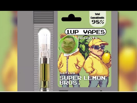 UM GAMEPLAYZINHO NA TERRA DOS LIMÕES E FOFOCA!! THE LEMON BROS. - YouTube