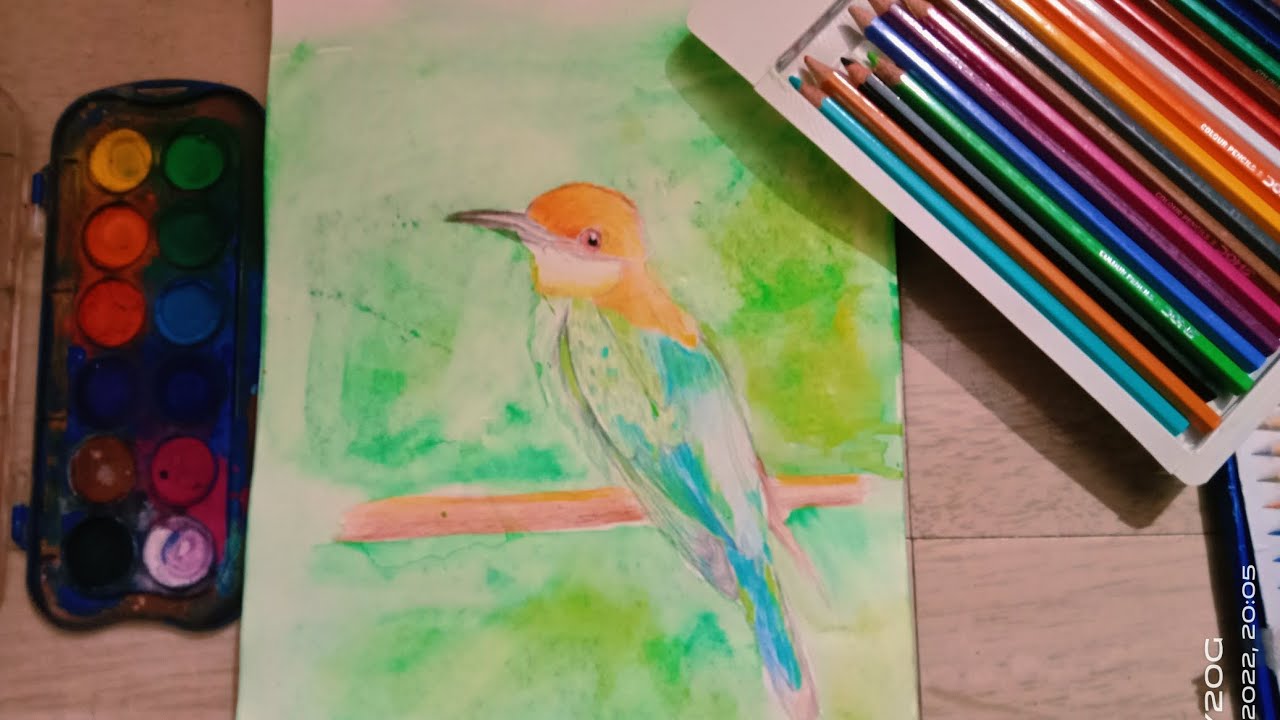how to draw bird | drawing of bird | bee- eater drawing - YouTube