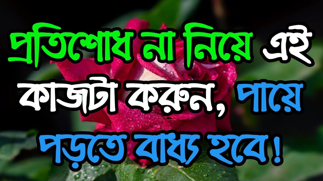 Heart Touching Powerful Motivational Quotes In Bangla By Jibon's talk ...