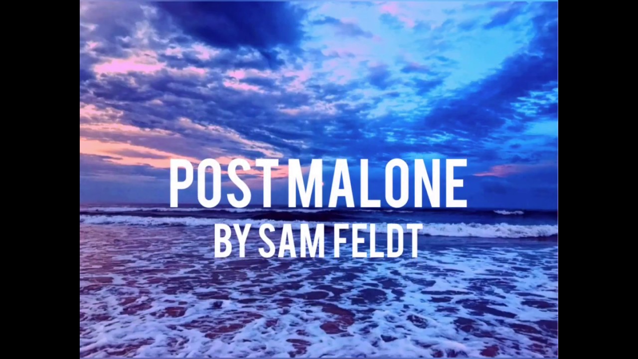 Sam Feldt - Post Malone (lyrics) ft. RANI - YouTube