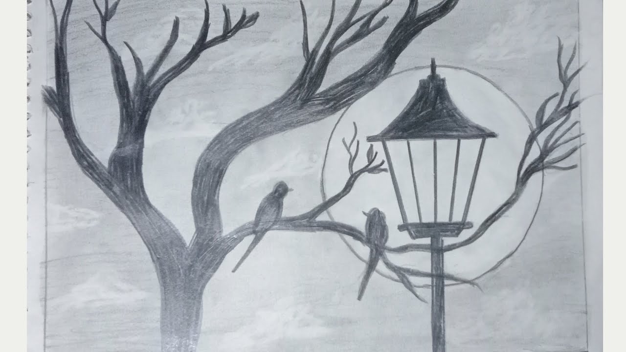 How to Draw Scenery of Moonlight Night by pencil sketch, Love Birds ...