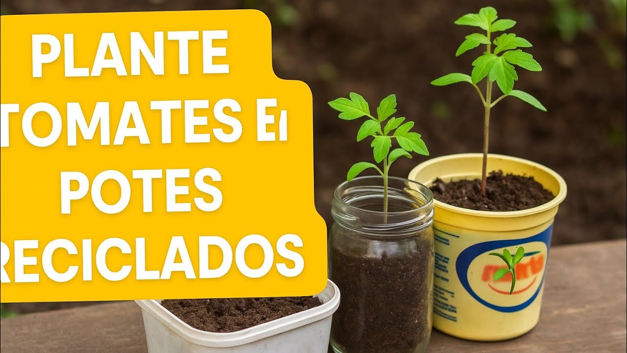 Plante Tomates em Potes Reciclados e Economize! 🍅🌱 - YouTube