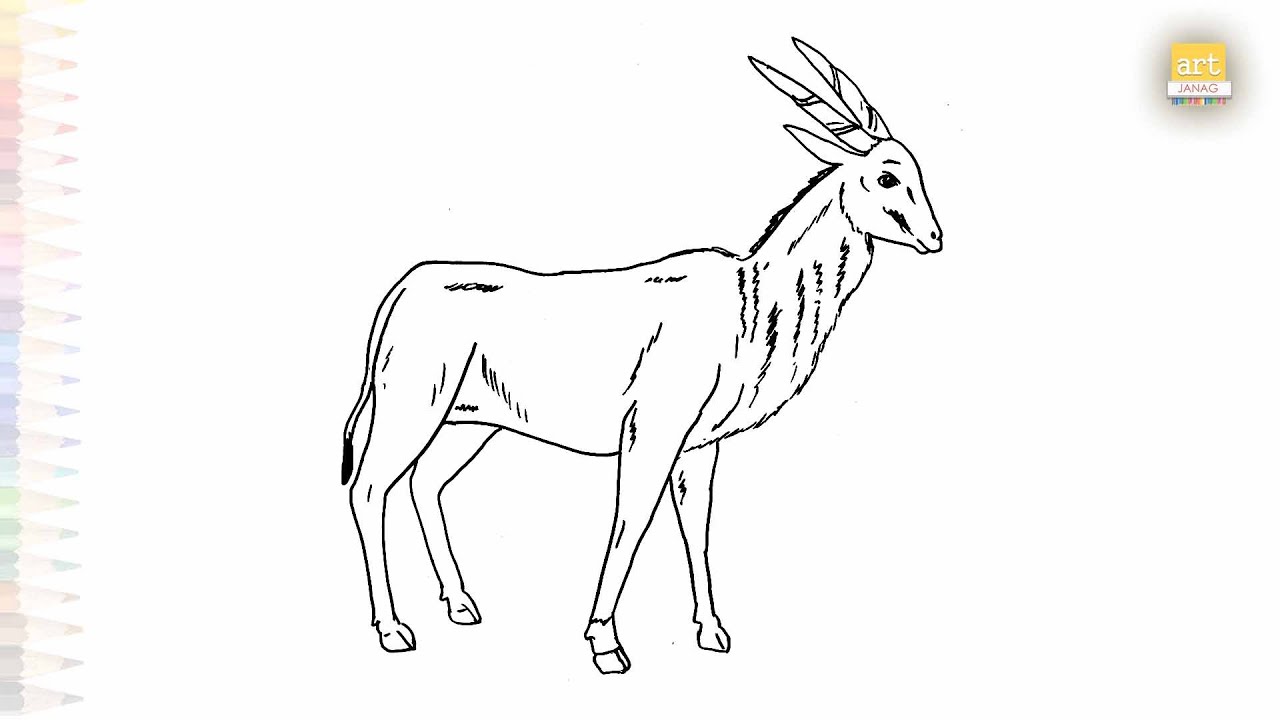 Eland drawing easy | Wild animal drawing tutorial | How to draw eland ...