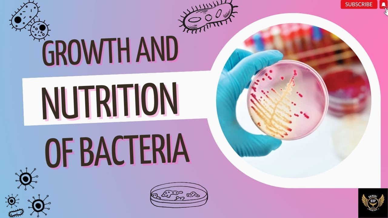 Growth & Nutrition of Bacteria||Bacterial Growth Curve||Microbiology ...