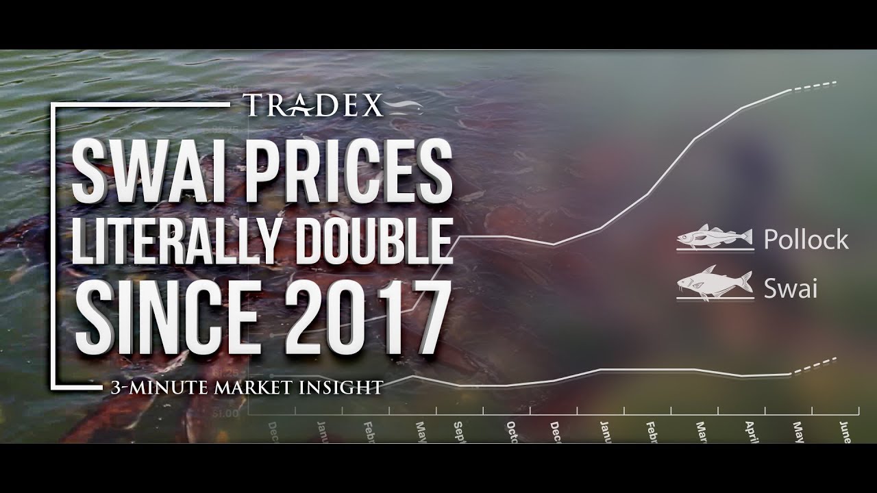3MMI - Swai Prices Have Literally Doubled Since 2017 - YouTube