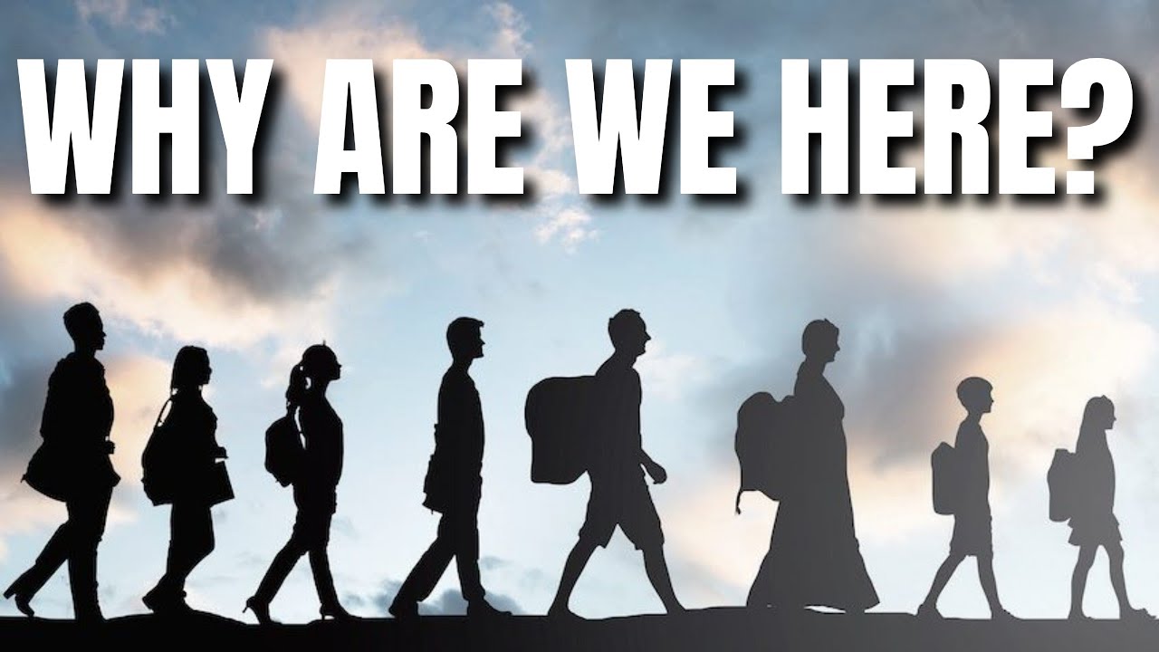 What is the Importance of the Human Life? - YouTube