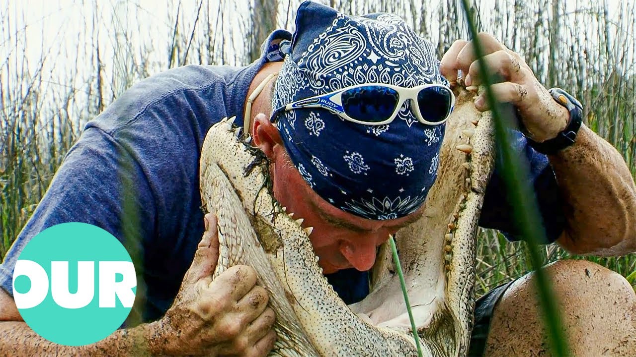 Death-Defying Adventures of Florida's Alligator Hunters | Our World ...