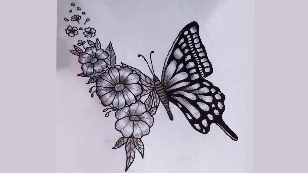How To Draw A Beautiful Butterfly Creative Art Of A Butterfly Pencil how-to-draw-a-beautiful-butterfly-creative-art-of-a-butterfly-pencil