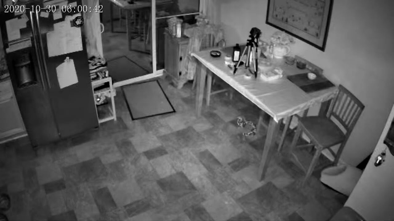 Video Clips From Home - YouTube