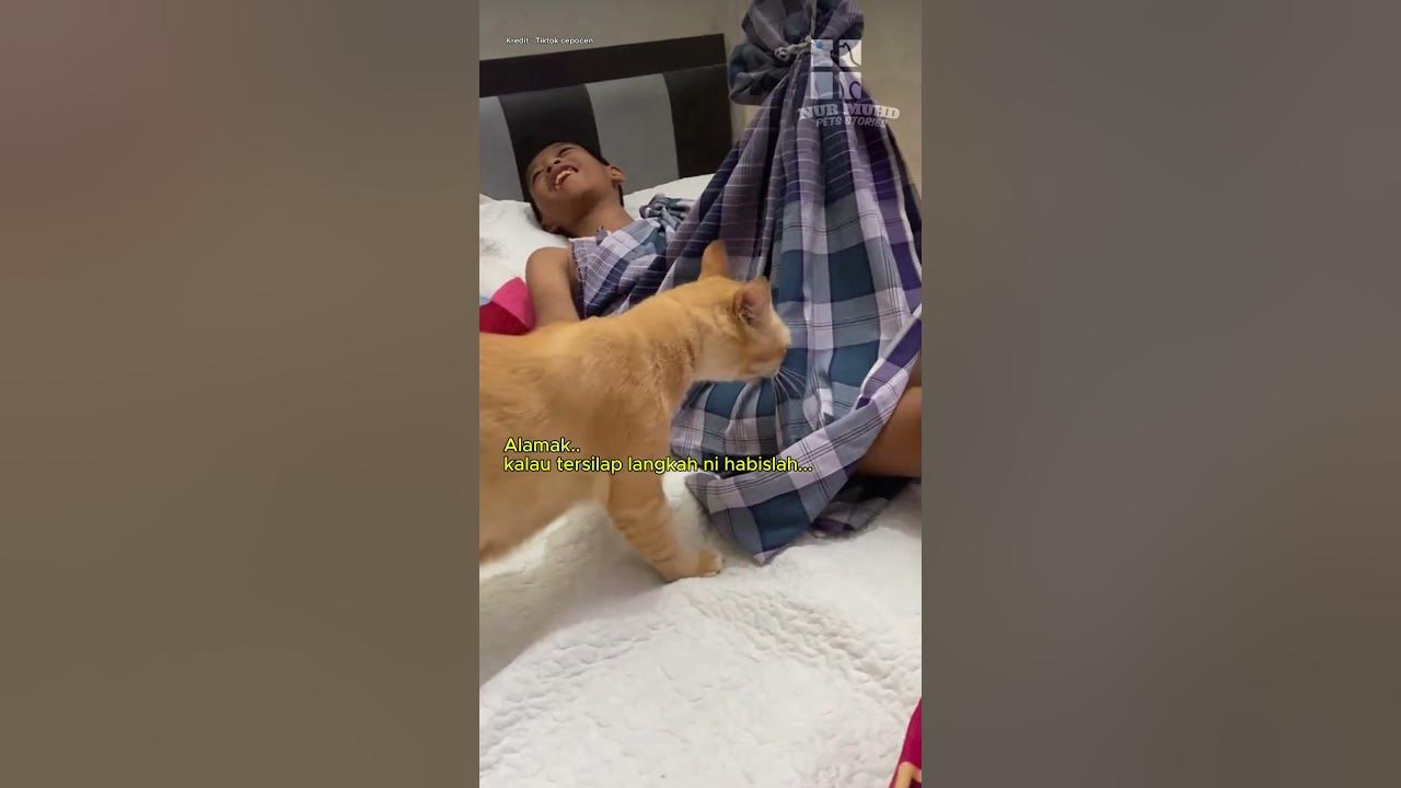 HABISLAH DIK, BAHAYA NI.. SILAP LANGKAH MENANGIS TAK BERLAGU NANTI ...