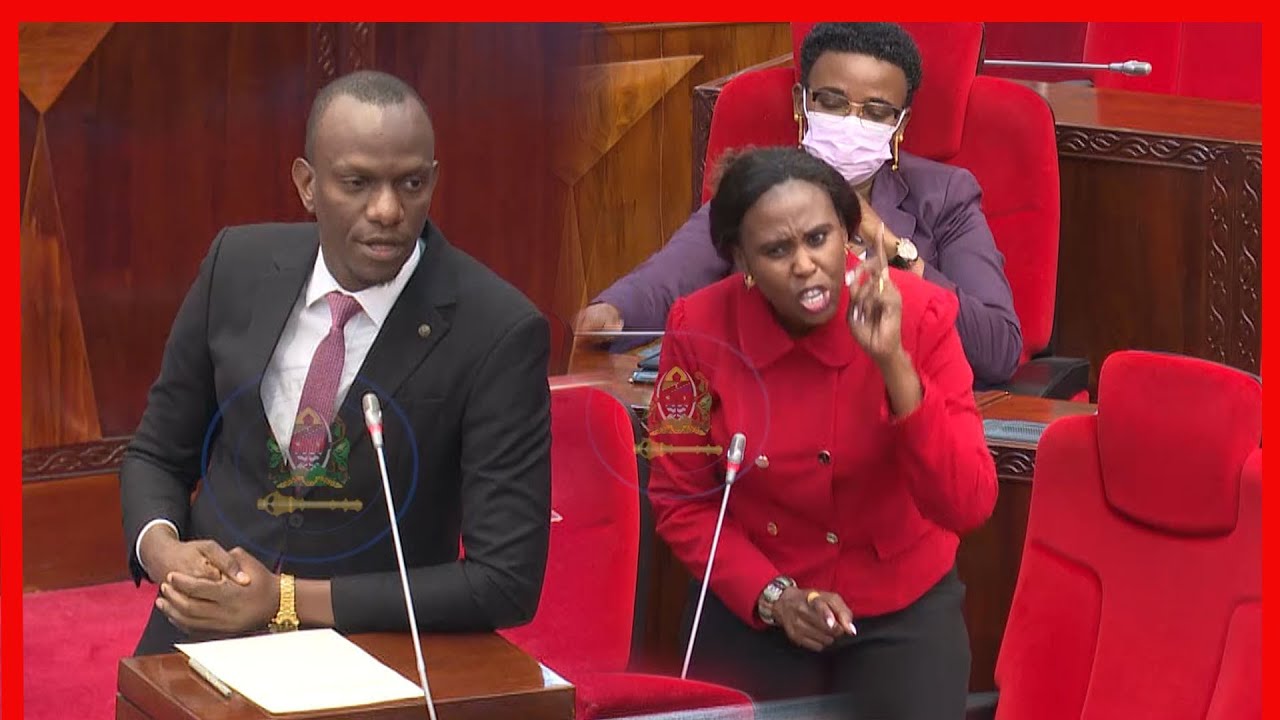MBUNGE ESTHER BULAYA AMCHANA NAIBU WAZIRI BUNGENI "WIZARA YENU INA ...