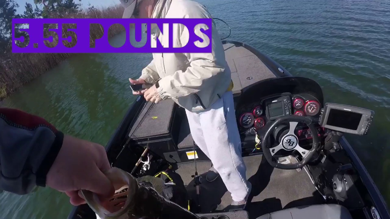 Giant bag of smallmouth 24-1/2 pound bag northern Wisconsin - YouTube