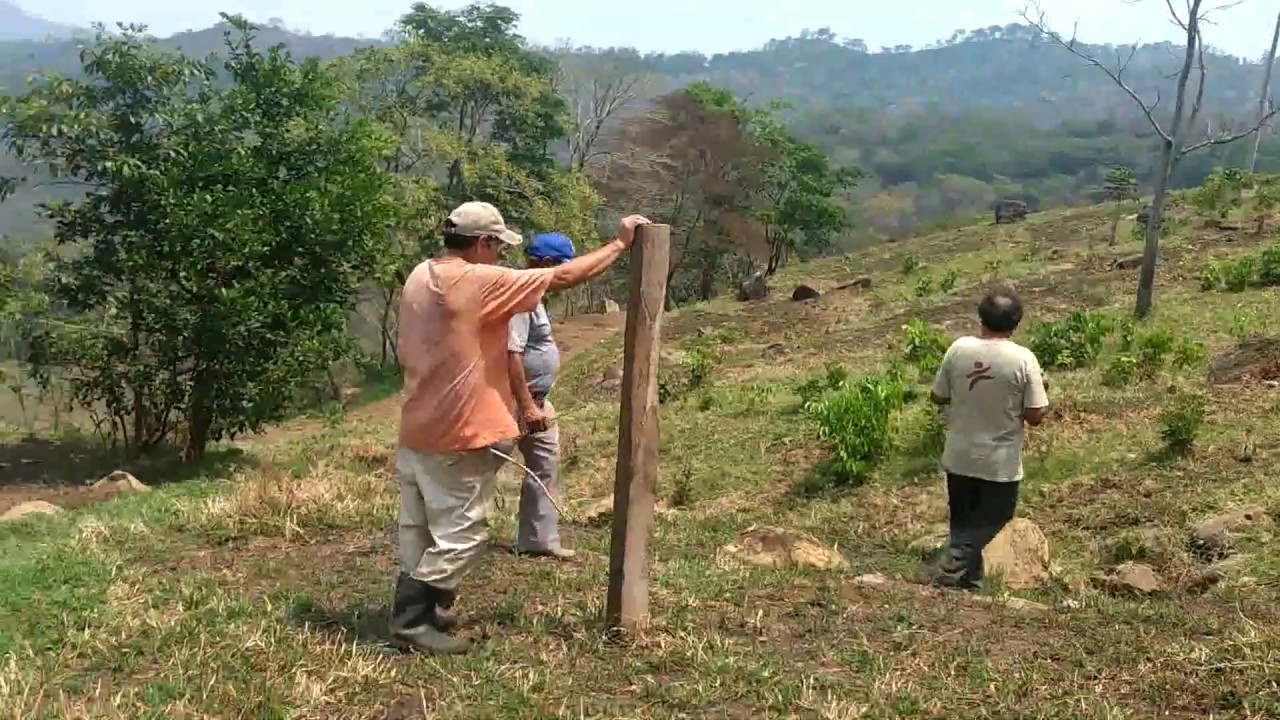 RABDOMANCIA O RADIESTEDIA EN CINTALAPA, CHIAPAS - YouTube