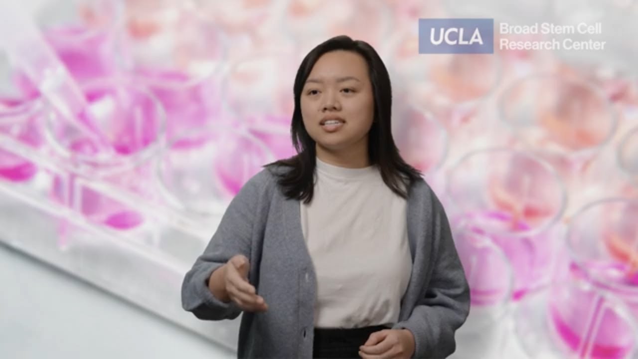 Improving the production of cell types for regenerative or cell ...