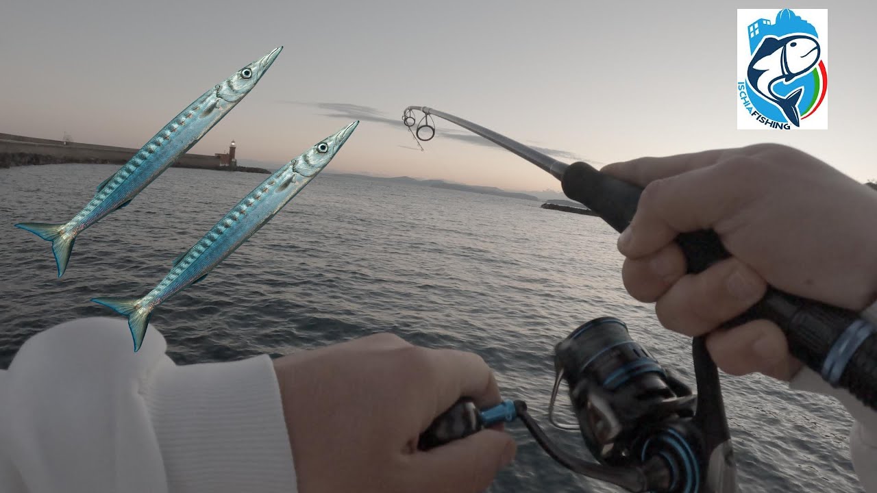 BARRACUDA VOLANTI, spinning invernale al barracuda - YouTube