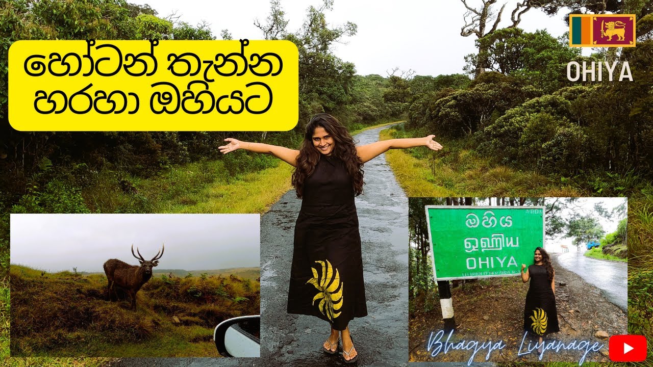 Journey to Ohiya through Horton Plains - Sri Lankan ( හෝටන් තැන්න හරහා ...