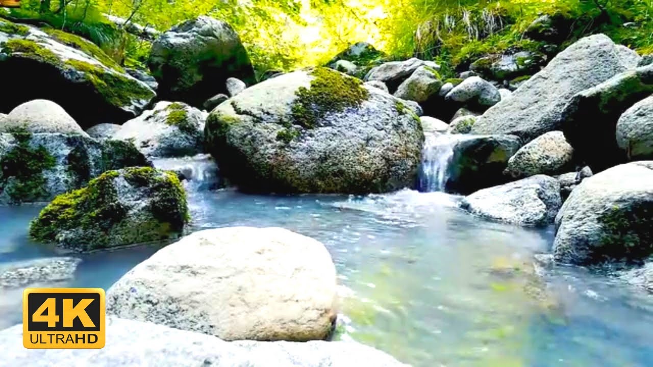 Gentle Stream Sounds, Relaxing Stream Sounds, Relaxation, Sound Of The ...