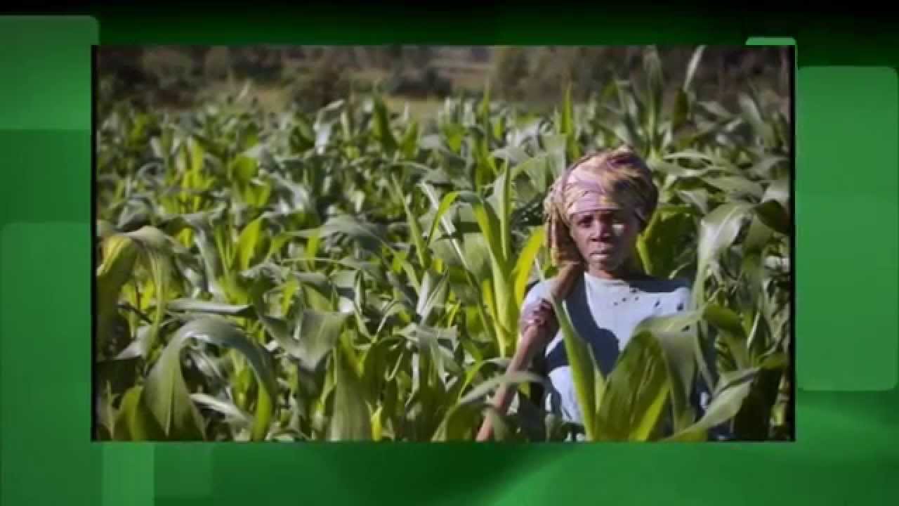 40-million-kenyans-youtube