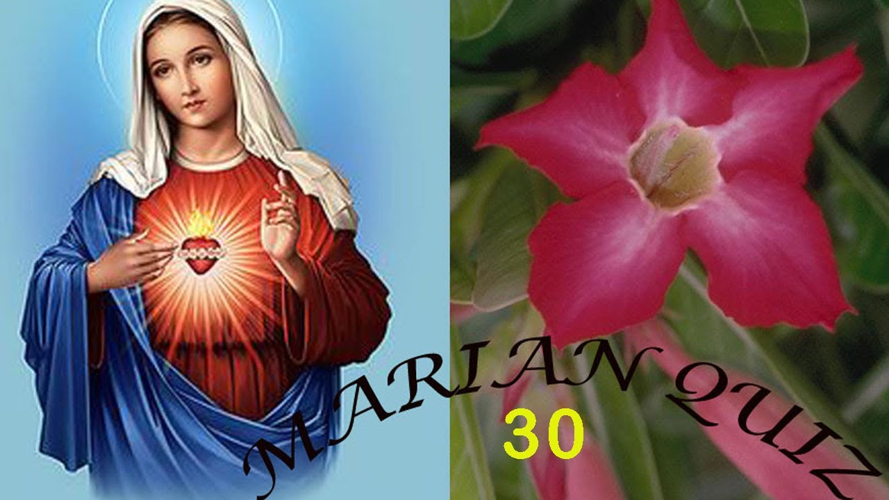 Marian Quiz 30|| - YouTube