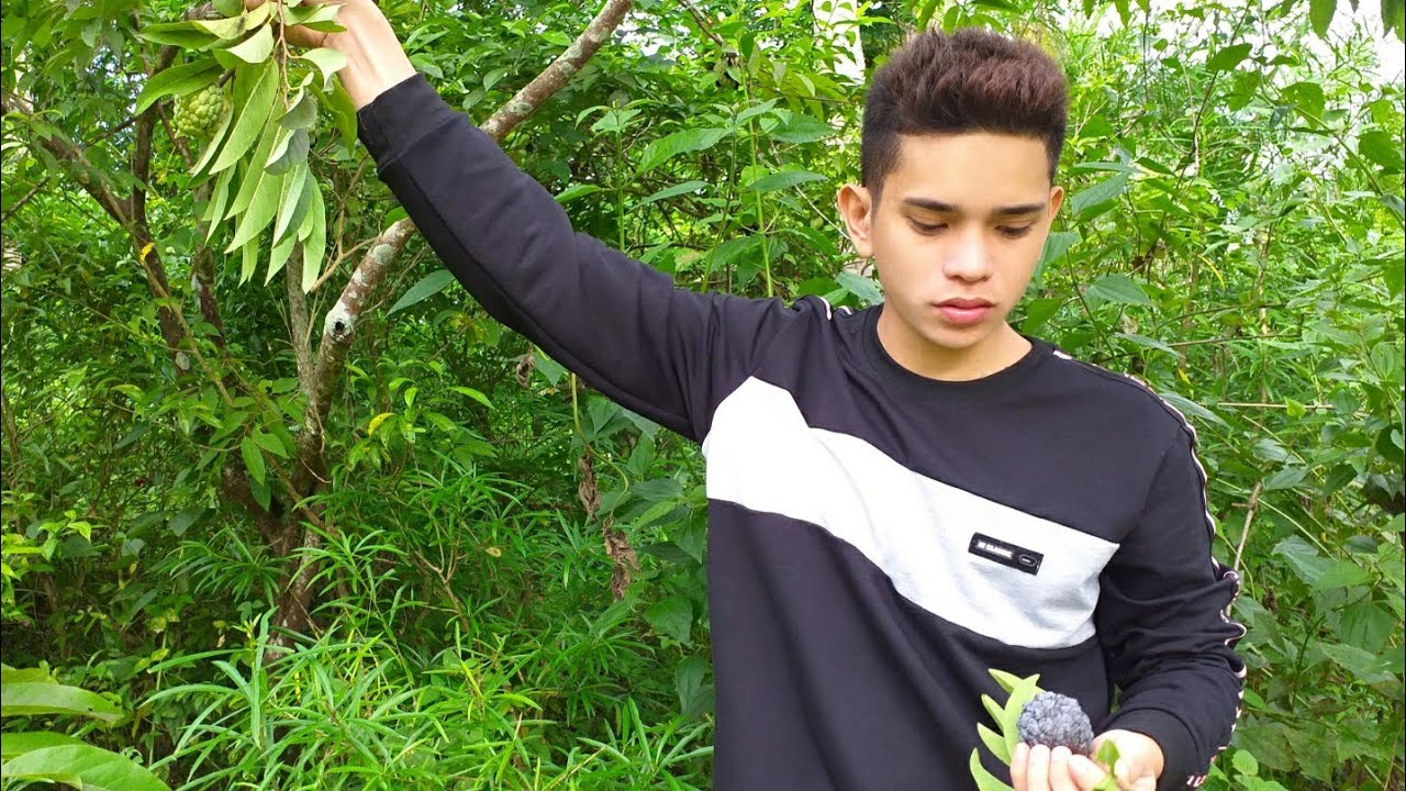 FRUITS & VEGETABLE GARDEN TOUR | RHENHART LOSARIA - YouTube