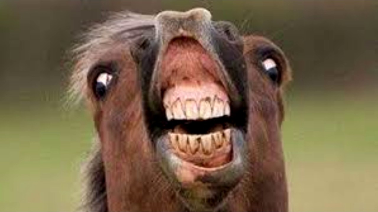 Random Videos #13 - YouTube