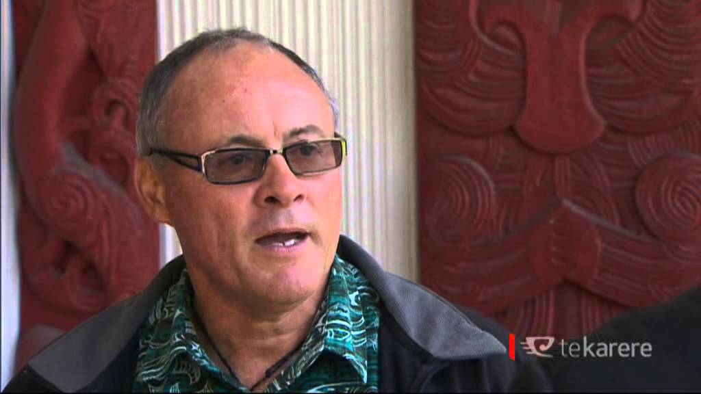 Mauri meter evaluates Rena site - YouTube